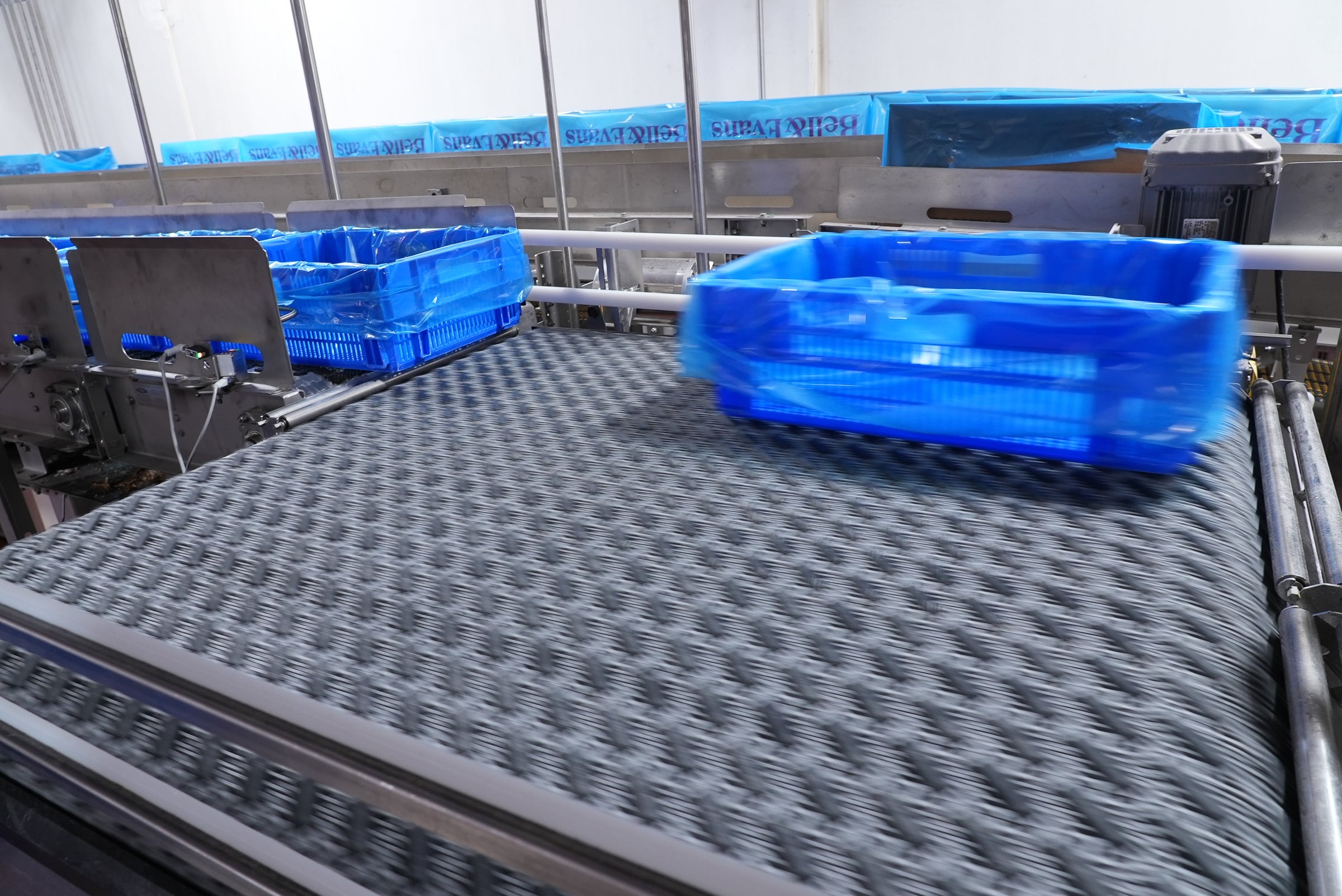 導入事例：Bell & Evans社 | Intralox